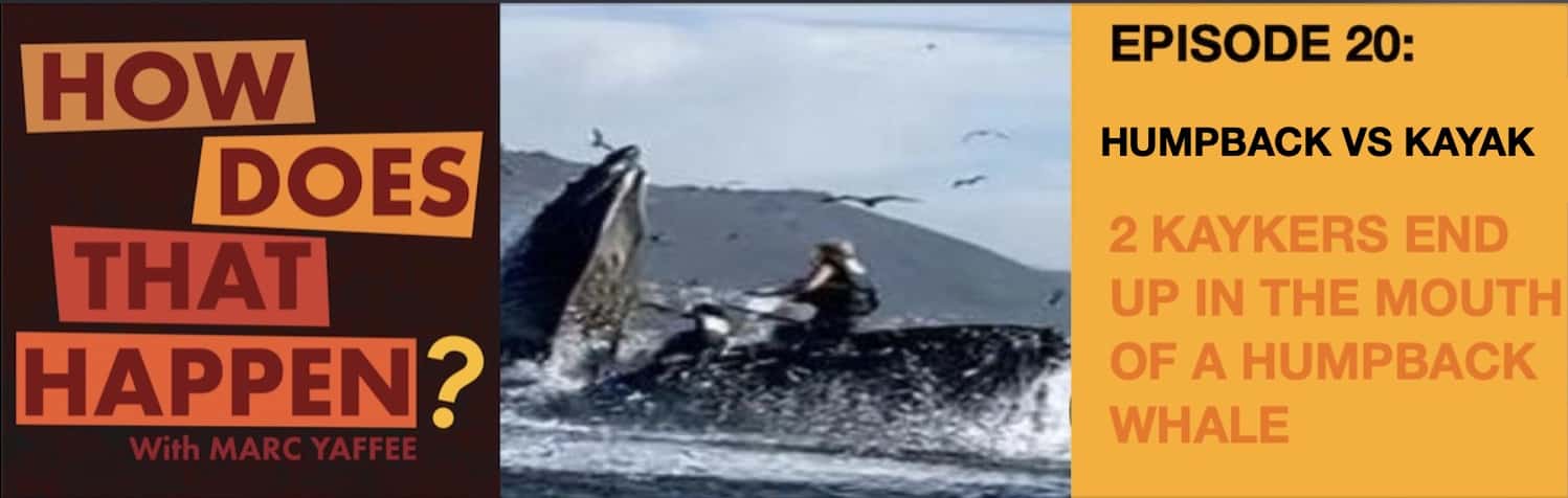 Julie McSorley and Liz Cottrell - Humpback Vs. Kayak - Laugh With Marc